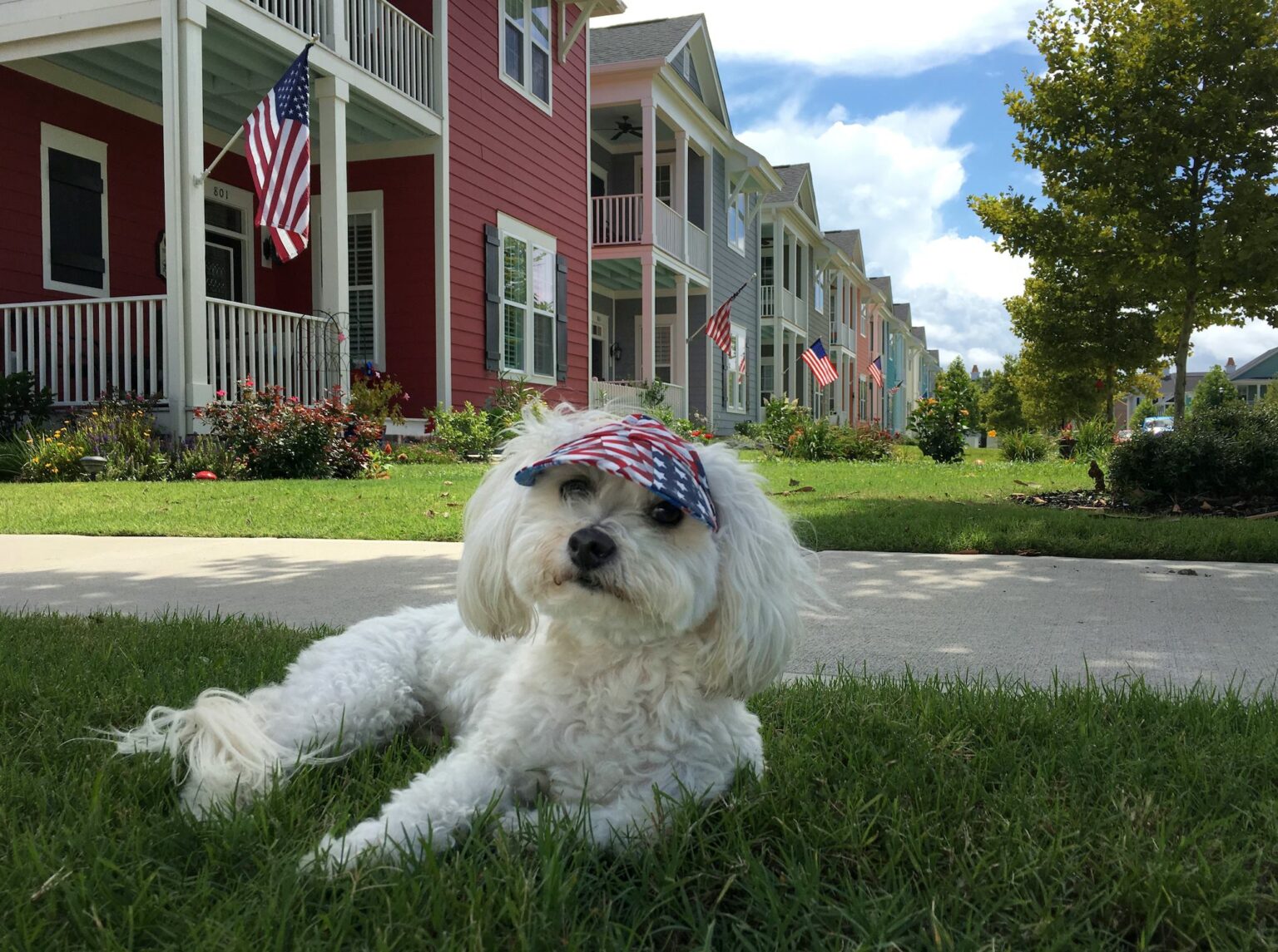 The Search For a Kindred Spirit Across the Ocean - The Coastal Insider