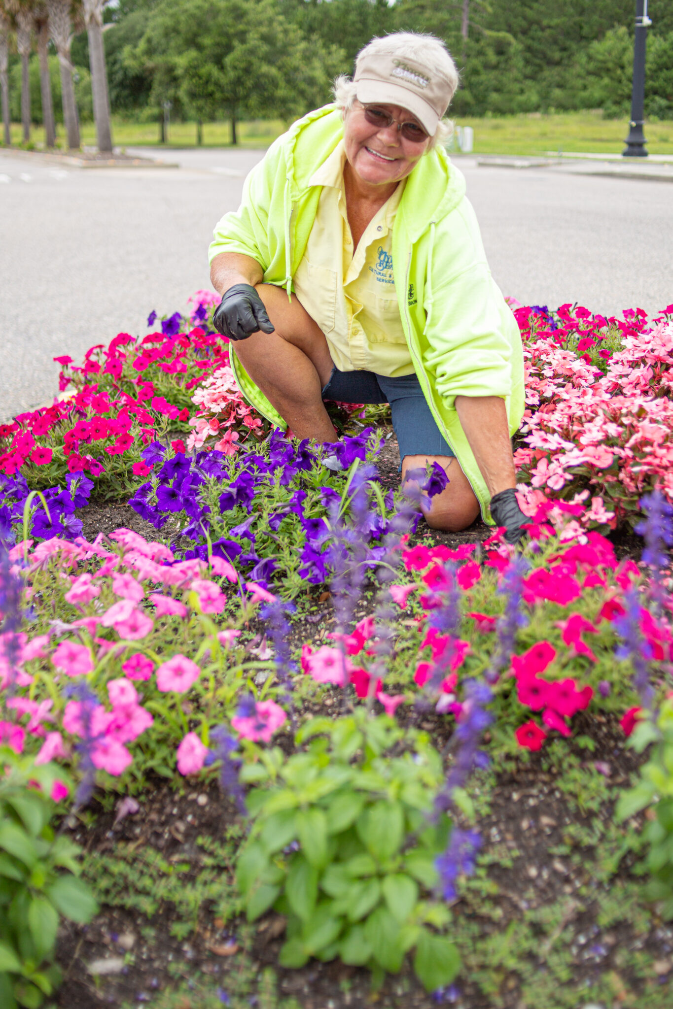 Q&A with Cindy Collins — The Coastal Insider