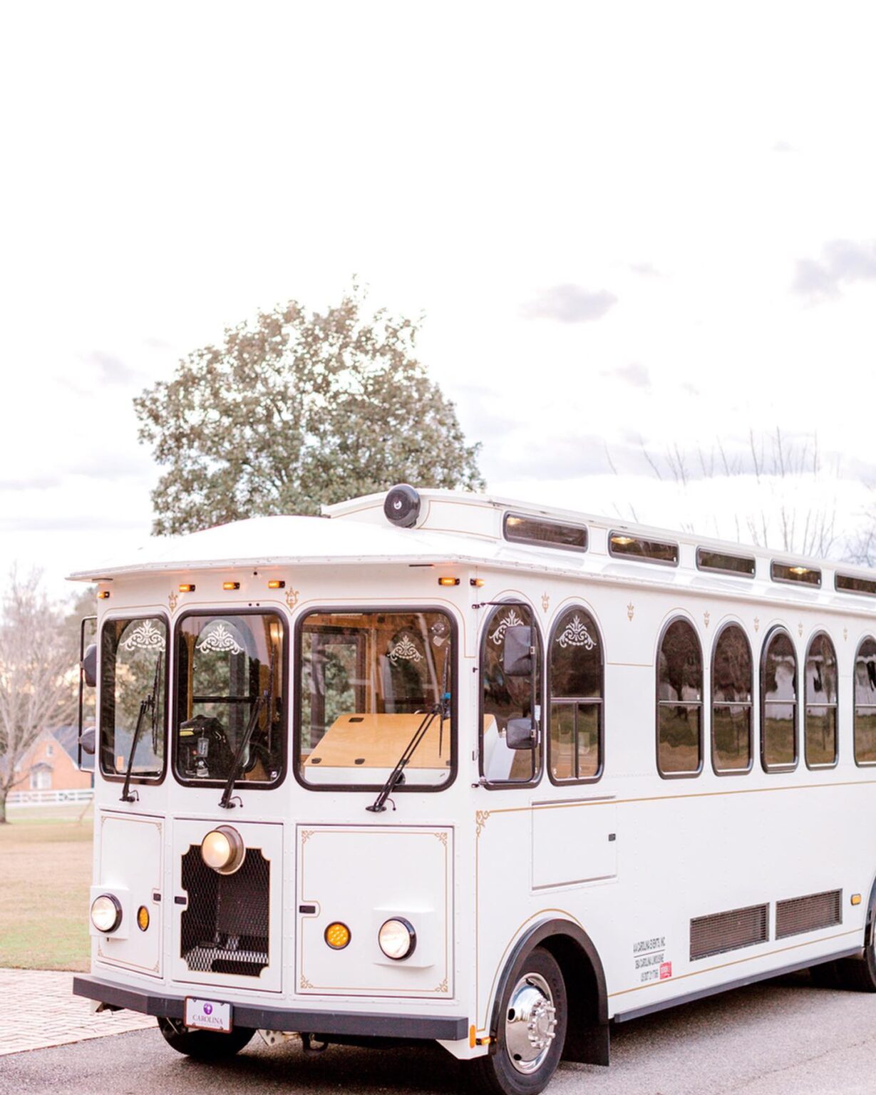 Carolina Limousine & Coach — The Coastal Insider