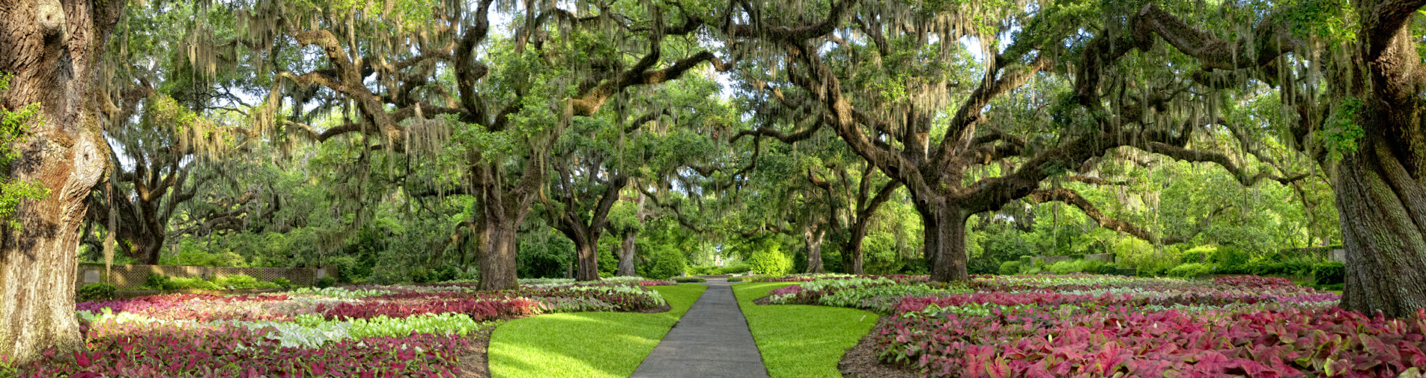 Brookgreen Gardens — The Coastal Insider