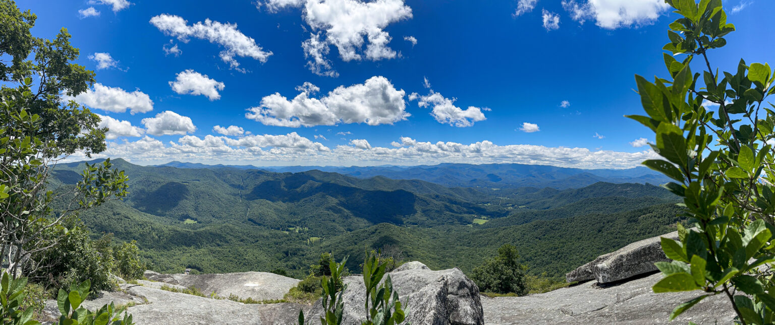 Hike It Up! Bartram Hiking Trail — The Coastal Insider